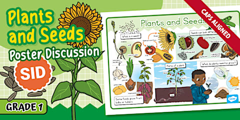 Grade 1 – Term 3 – Language – Good Basic Healthy Habits – Poster ...