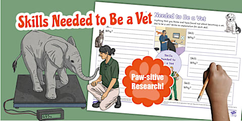 SEE (Environment and Sustainable Living) Irish Bogs Research Activity ...