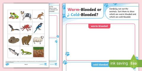 ESL Cold-Blooded Animals Lesson [Kids, A2]
