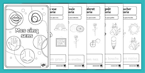 The 5 Senses Posters French