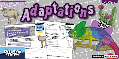 STEM (Living Things) Animal Adaptations Powerpoint