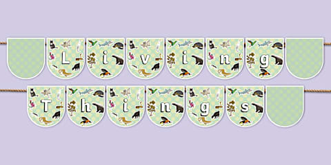 Blue Abyss Display Banner - blue abyss, deep sea, marine, ocean ...