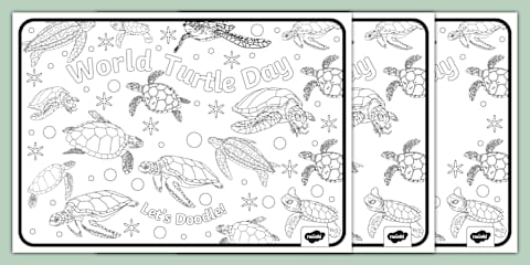 World Turtle Day Colouring Pages