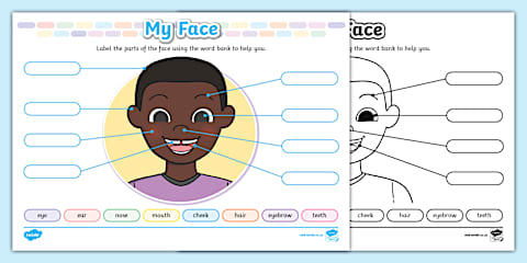 Parts of the Body Face Labelling Worksheet