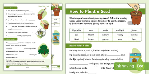 Planting a Seed Instructions Template