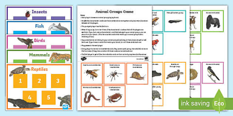 Science Classifying Organisms Mnemonic Display Posters