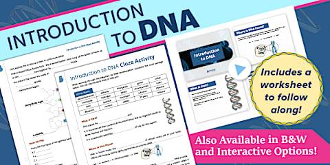DNA Simple Diagram Activity Sheet - Biology - Beyond