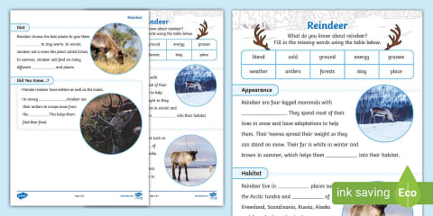 Create a Reindeer Cutting Skills Activity