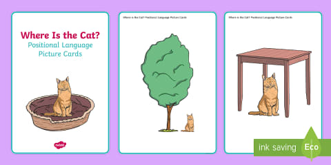Monkey Positional Language Picture Cards