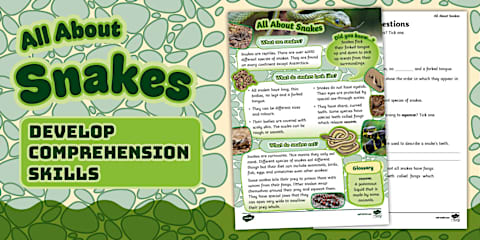 LKS2 All About Snakes Reading Comprehension Activity