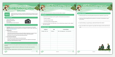 Decomposers, Detritivores and Scavengers PowerPoint