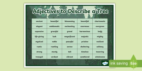 Garden Adjectives Word Mat