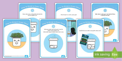 Grass Head Science Experiment - EYFS