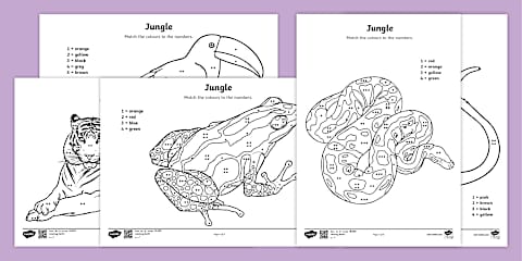 Animal Colour by Number Counting Worksheet
