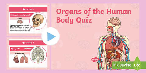 Body Parts Interactive Anagram Activity KS2