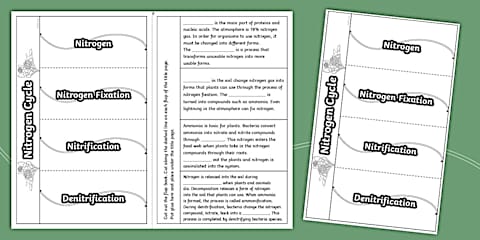 Carbon Cycle Flap Book for 6th-8th Grade