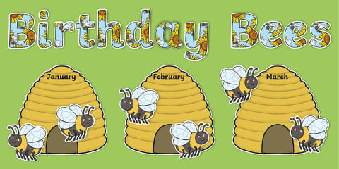 Busy Bee Bulletin Board Pack