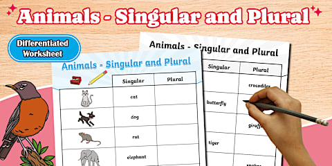 Singular and Plural Worksheet