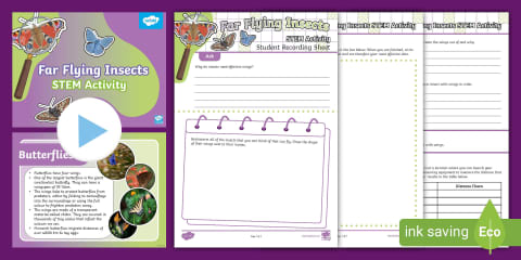 Stick Insects Leaflet Template