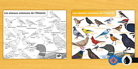 All About Me Worksheet English/French