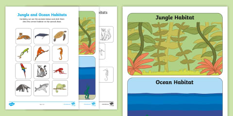 Woodland and Ocean Habitats Animal Sorting Worksheet