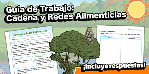 Comprensión lectora diferenciada: Cadena alimenticia