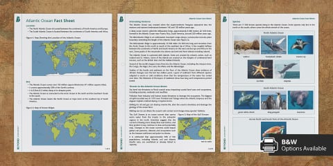 Marine Biomes: Atlantic Ocean Reading Comprehension