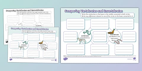 Vertebrates and Invertebrates - Activity Sheet