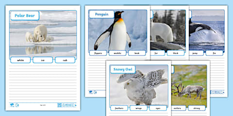 The Arctic Fox Folding Writing Template