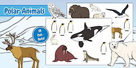 Arctic Animals Colouring Sheets