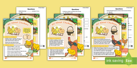 Second Grade All About Chickens Reading Comprehension Worksheet