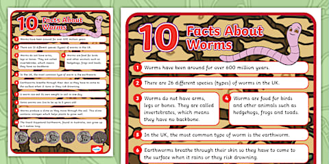 Worms Fact File Template