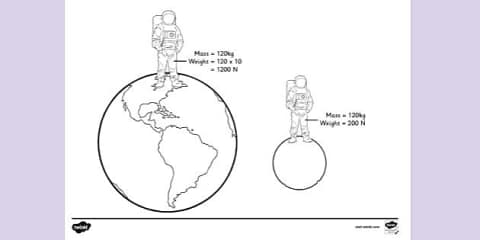 Eighth Grade Mass, Weight, and Gravity Worksheet