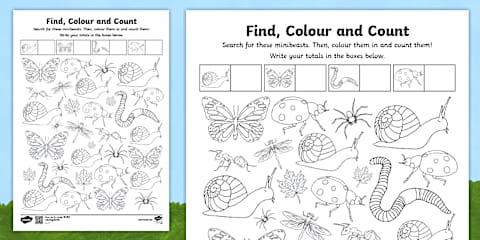 Minibeasts Colour by Number Counting Worksheet / Worksheet - colour ...