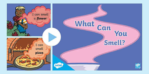 Sense of Smell Investigation Worksheet