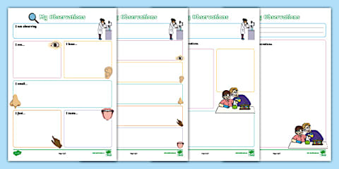 Science Experiment Recording Sheet