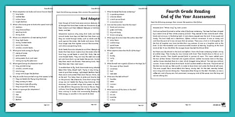 Fourth Grade End of the Year Assessment Pack