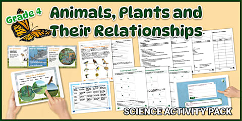 Grade 4 Human Impact on Habitats Science Resource Pack