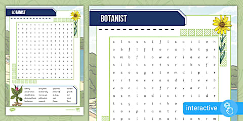 Life Cycle of Plants Differentiated Word Search