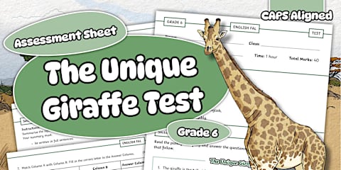 Grade 6 English FAL: Term 3 - The Clever Tortoise and the Greedy ...