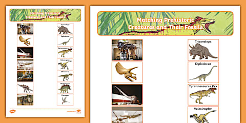 Coloured Prehistoric Creatures Matching Activity for EYLF
