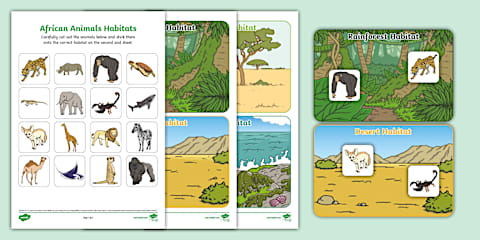 Hot and Cold Habitats Animal Sorting Worksheet - English/Mandarin Chinese