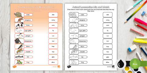 How Animals Move Worksheet