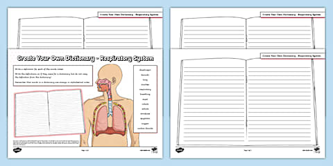 The Respiratory System Labelling Activity Sheet