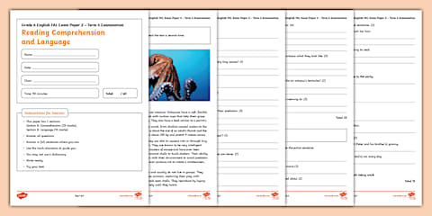 Grade 6 English Home Language Exam Papers And Memos - Twinkl