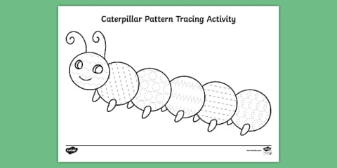 EYFS Butterfly Life Cycle Activity Booklet