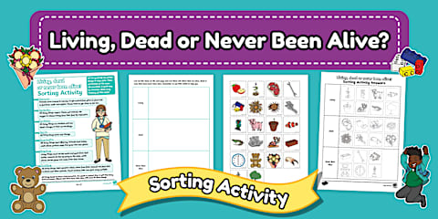 Year 1 Science Living Things and Their Habitats Lesson 1 Living, Dead ...