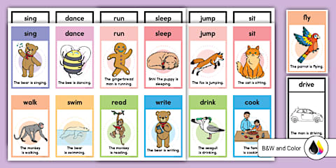 Zoo Animals Photo Flash Cards for PreK-K