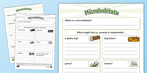 Science: Living Things and Their Habitats: Microhabitats and Minibeasts ...
