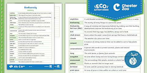 Year 5 Biodiversity: Lesson 3 - How Can We Work to Welcome Wildlife?